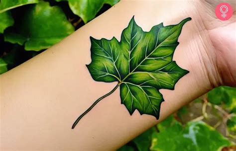 8 Best Ivy Tattoos Symbolic Vines Of Growth And Resilience
