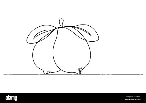 Single Continuous Line Drawing Whole And Half Sliced Healthy Organic