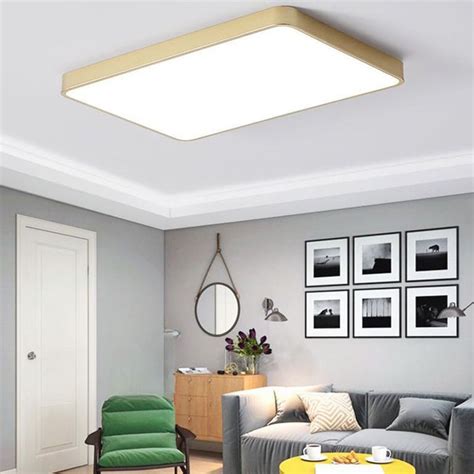 1 Light Pure Light Plexiglass Ceiling Fixture Adapted For Led With Ink Metal Fixture In A