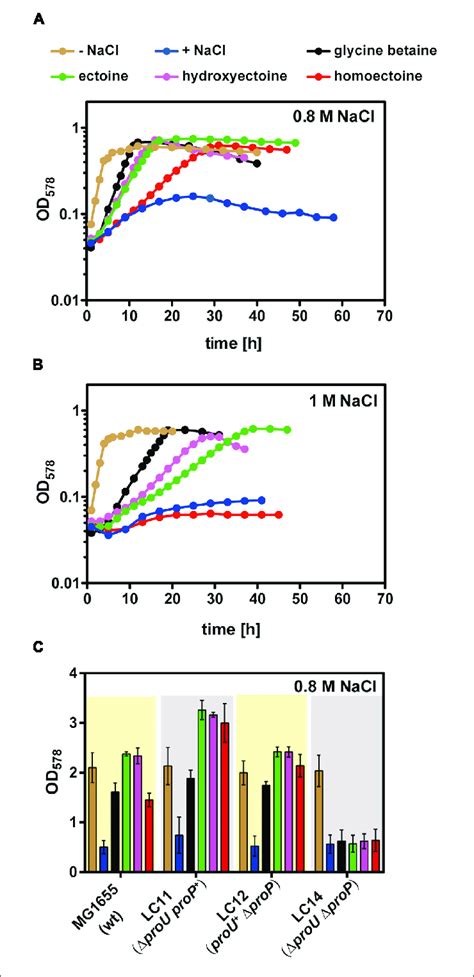 Osmostress Protection Assay With Glycine Betaine Ectoine