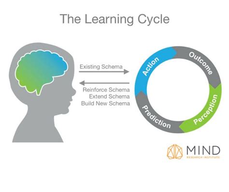 What The Perception Action Cycle Tells Us About How The Brain Learns Brain Learning Deeper