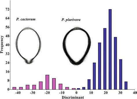 5 Discriminant Analysis Permitted The Separation Of Phytophthora Download Scientific Diagram