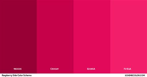 Raspberry Side Color Scheme Image