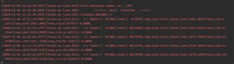 计算损失时出错 Issue argusswift YOLOv pytorch GitHub