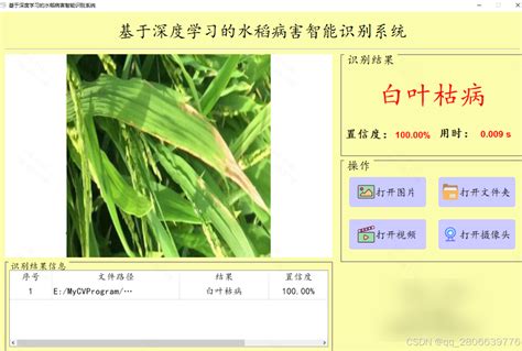 基于yolov8深度学习的水稻叶片病害智能诊断系统【python源码pyqt5界面数据集训练代码】深度学习实战基于yolov8的水稻