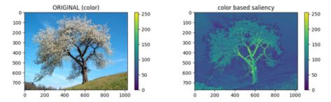 Understanding Saliency Maps By Kala K Worlds Of Data