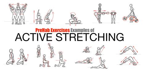 Flexibility Exercises Examples