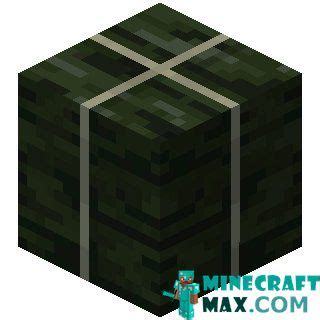 How To Make Dried Kelp Block In Minecraft Minecraft Max Com