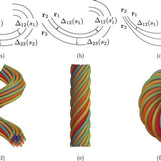 Examples Of Curve Arrays That Illustrate The Distinction Between Download Scientific Diagram