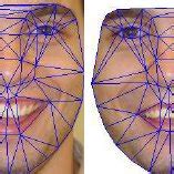 Texture Mapping Example Download Scientific Diagram
