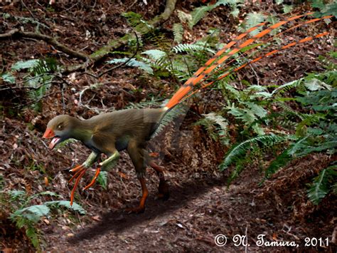 Epidexipteryx By Ntamura On Deviantart