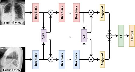 Figure 3 From Enhance Chest X Ray Classification With Multi Image