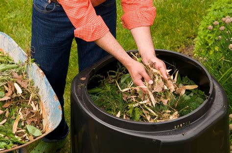 Composting 101 The Beginnerâ€™s Guide To Taking Your Garden To The