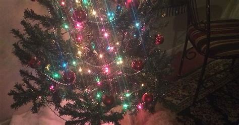 I Was Wondering Why The Fake Snow Kept Getting Messed Up Imgur