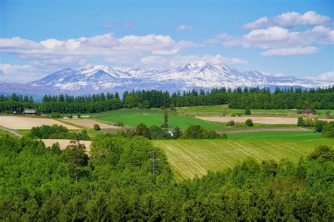 Hokkaido Love