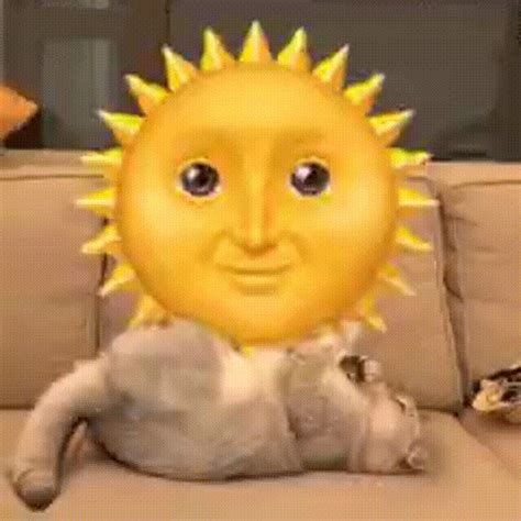 敬业的太阳公公又打卡上班啦不过明后两天它可能要短暂缺席 汕头 天气 影响