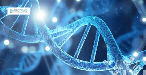 Innovation In Proteomics With Olink Explore Technology Protavio