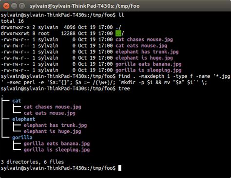 Command Line How To Move Files Based On First Word In File Name Ask Ubuntu