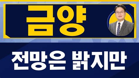 전망은 밝지만금양001570 반종민 연구소장진짜 쉬운 진단 Youtube