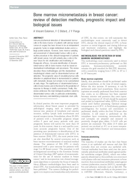 Pdf Bone Marrow Micrometastasis In Breast Cancer Review Of Detection Methods Prognostic