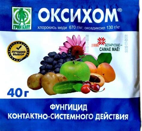 Алимны модны навч яагаад хар өнгөтэй болсон ба юу хийх вэ Миний ойролцоох эрүүл хоол хүнс