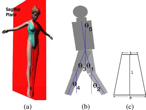 Figure From Human Gait Recognition Semantic Scholar