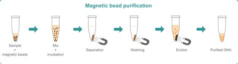 Comparison Of Rna And Dna Extraction Methods Integra