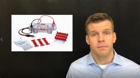 Low Edta Te Buffer Recipe Besto Blog Low Edta Te Buffer Recipe Besto Blog