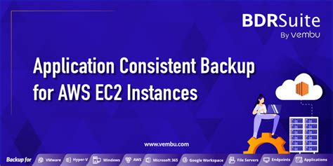 Application Consistent Backup For Aws Ec2 Instances Bdrsuite