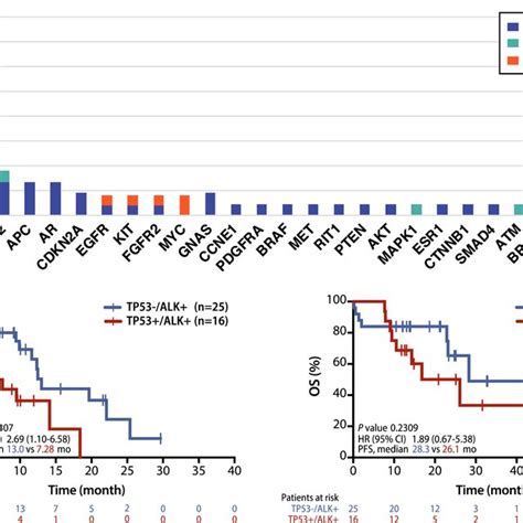 Survival Analysis According To Co‐occurrence Of Tp53 Alteration In The Download Scientific