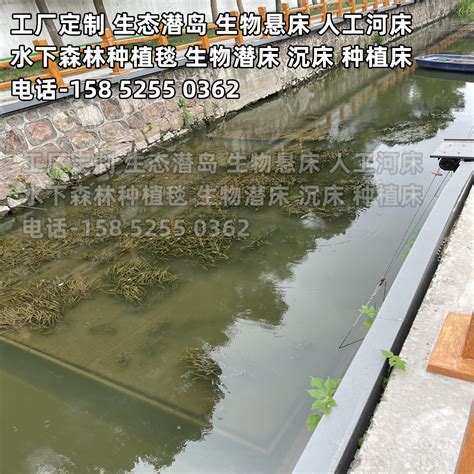 人工河床生态潜岛生物悬床生态沉床水下森林种植毯苦草种植床沉水 阿里巴巴