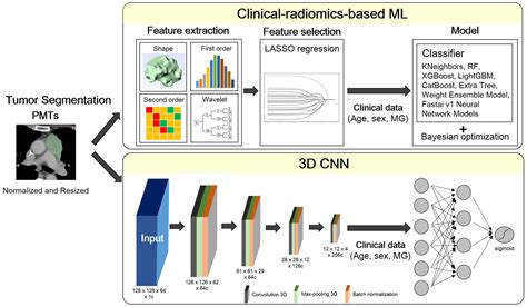 Clinical Radiomics Based Machine Learning Versus Three Dimension