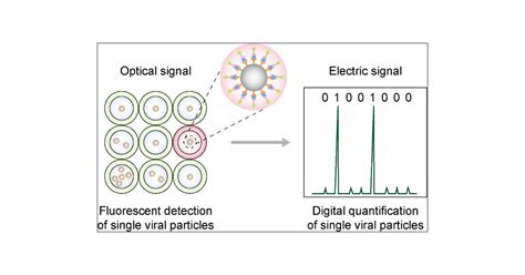 Digital Quantification And Ultrasensitive Detection Of Single Influenza Virus Using Microgel In