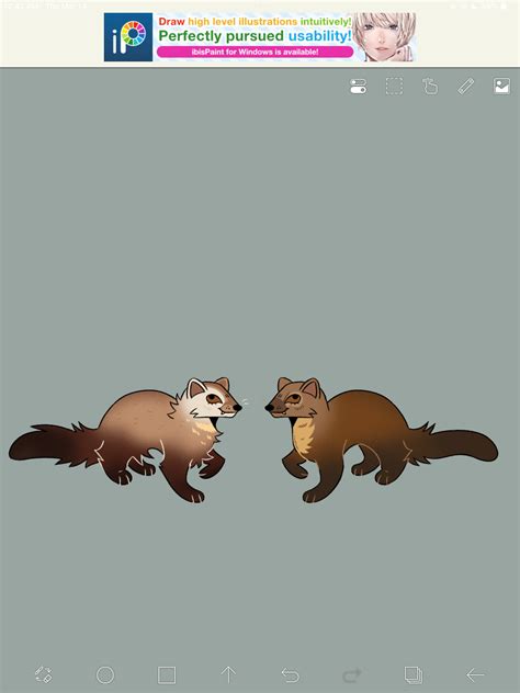 Cassidee ⭒ On Toyhouse