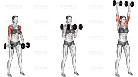 Dumbbell Curl To Press Exercise Guide Video Techniques Benefits How To Muscles Worked