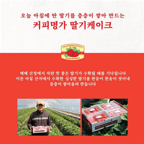커피명가 🍰🔛 오늘 아침에 딴 딸기를 층층이 쌓아 만드는 커피명가딸기케이크 시즌이 찾아왔어요🍓
