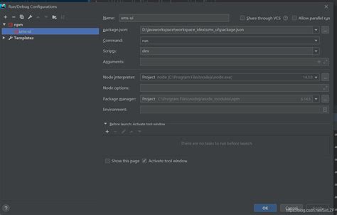 Webstorm启动vue项目为什末拉取gogs上面的vue代码在webstrom上面不能启动 Csdn博客