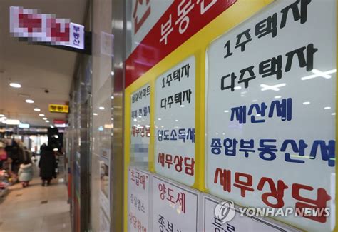 일시적 2주택 주택처분기한 3년 소급적용재작년 산 집도 혜택 나무뉴스