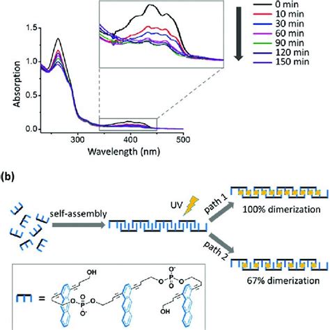 A Monitoring Of Anthracene Dimerization Within Supramolecular