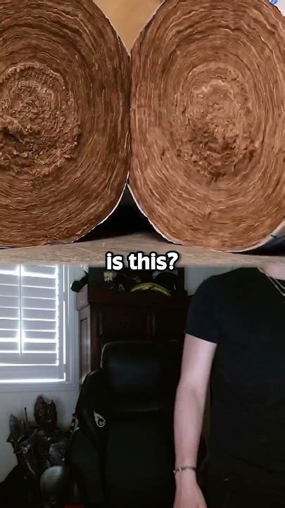 The Real Reason You Hate School Youtube