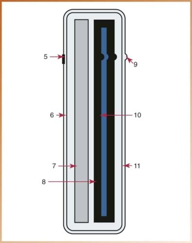 Radiology Chapter 7 Flashcards Quizlet
