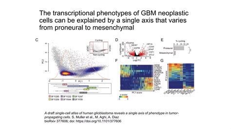 Single Cell Rna Seq Tutorial Ppt