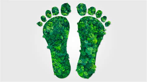 carbon footprint calculator devpost