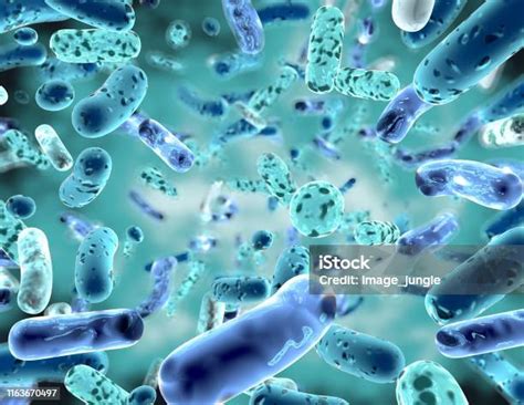 비피도박테리움 세균균3d 일러스트레이션 박테리아에 대한 스톡 사진 및 기타 이미지 박테리아 프로바이오틱 창자 Istock