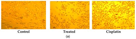 Molbank Free Full Text Synthesis Of 3 Trifluoromethyl 5 6 Dihydro