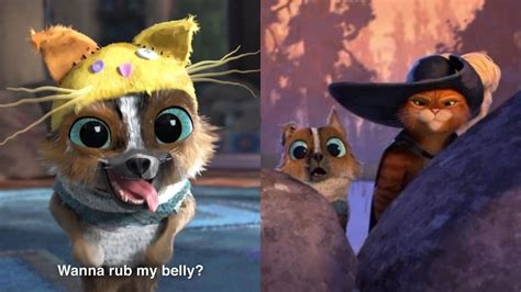 La Triste Historia De Perrito El Nuevo Personaje De La Película Gato Con Botas El último Deseo