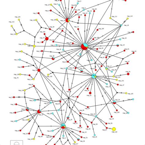 Figure E Bayesian Inference Phylogenetic Tree Based On Sequences Of