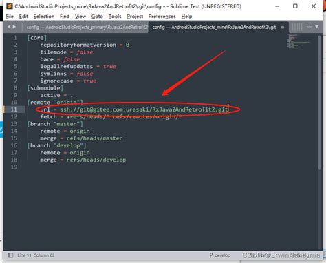 Idea（或android Studio）推送（push）代码报错 Unable To Read Askpass Response From