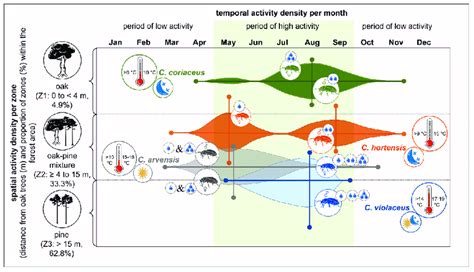 Schematic Summary Of The Results To Show Potential Niche Partitioning