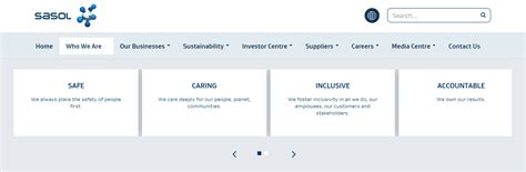 How To Check My Sasol Inzalo Shares ☑️ 2025